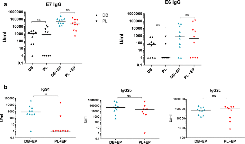 Linear doggybone DNA vaccine induces similar immunological responses to ...