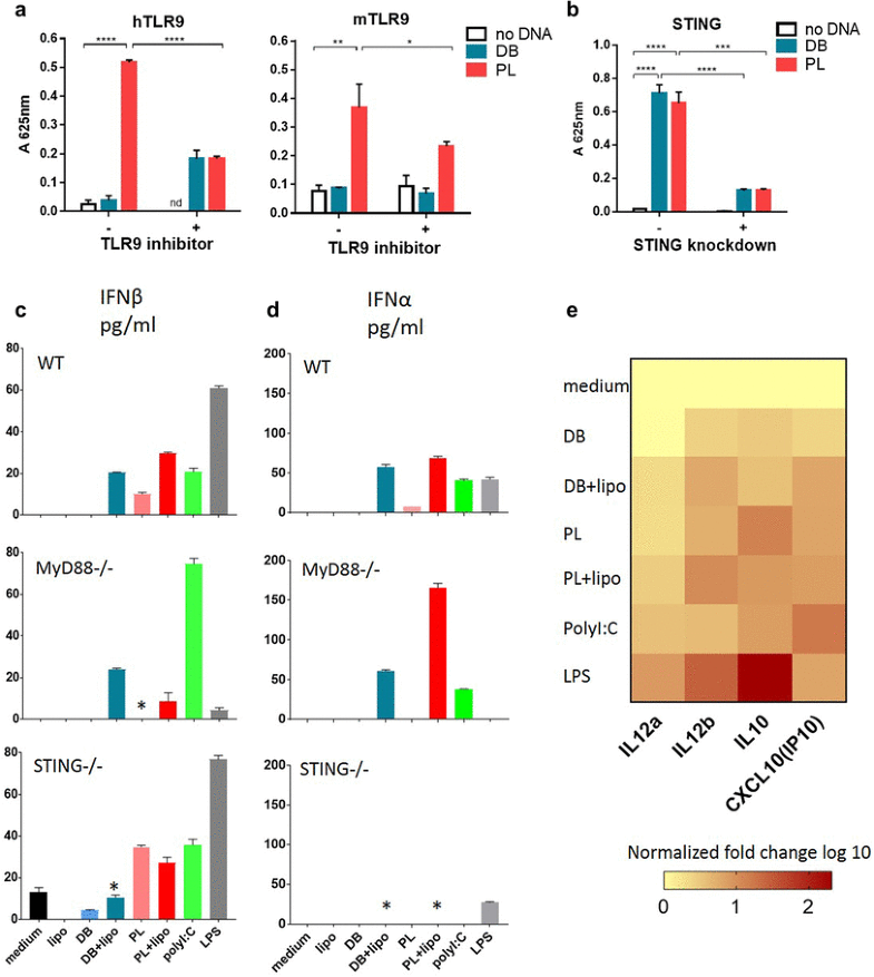 Linear doggybone DNA vaccine induces similar immunological responses to ...