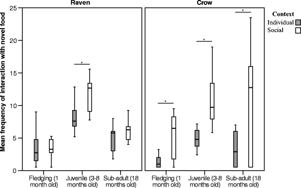 Differences in exploration behaviour in common ravens and carrion crows ...