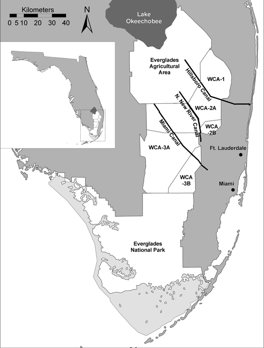 Potential Effects of Climate Change on Florida’s Everglades | SpringerLink