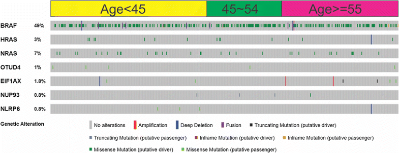 The Updated AJCC/TNM Staging System for Papillary Thyroid Cancer (8th ...