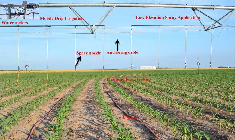 Revisiting precision mobile drip irrigation under limited water ...