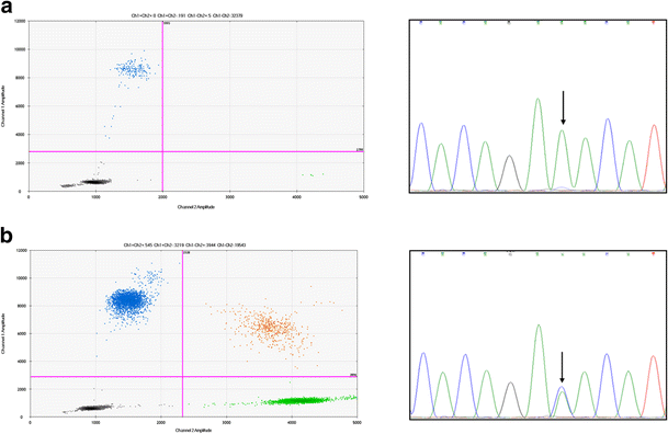Sensitive and accurate quantification of JAK2 V617F mutation in chronic ...