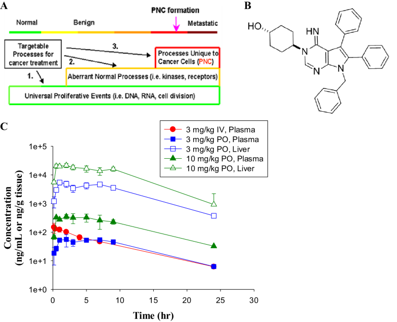 Pharmacokinetic evaluation of the PNC disassembler metarrestin in wild ...