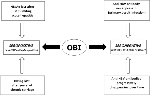 Occult HBV infection | SpringerLink