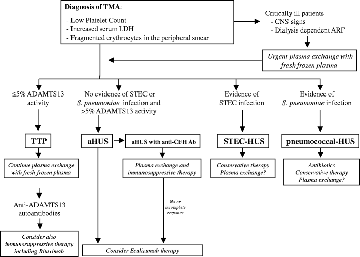 Hemolytic uremic syndrome | SpringerLink