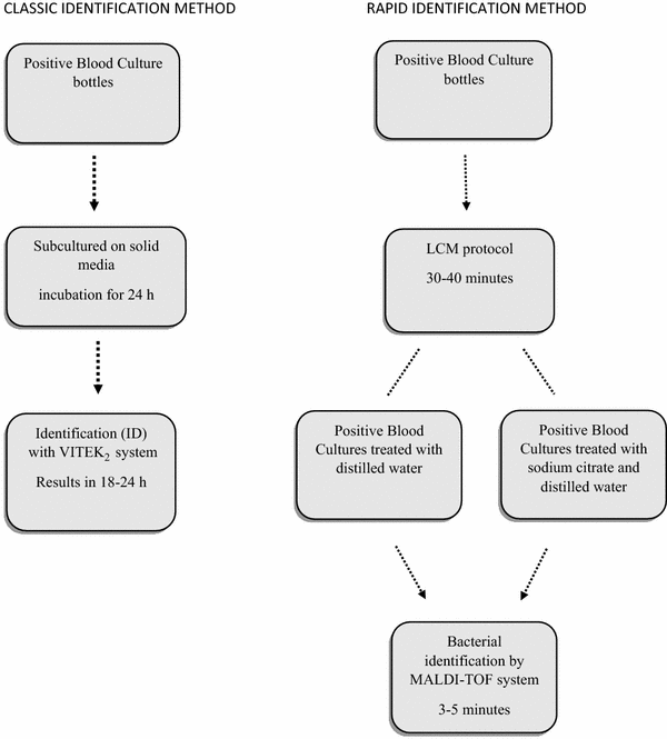 MALDI-TOF MS Versus VITEK®2: Comparison of Systems for the ...
