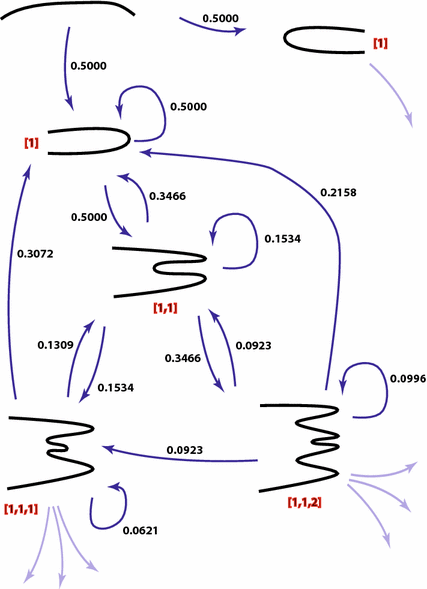 Modeling the evolution space of breakage fusion bridge cycles with a ...