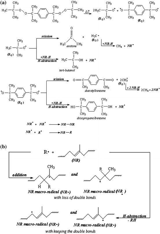 Radiation vulcanization of natural rubber with polyfunctional monomers ...