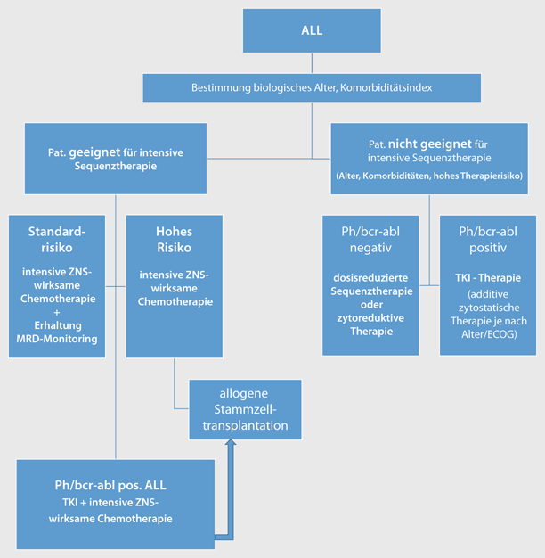 Akute Leukämien des Erwachsenen | SpringerLink