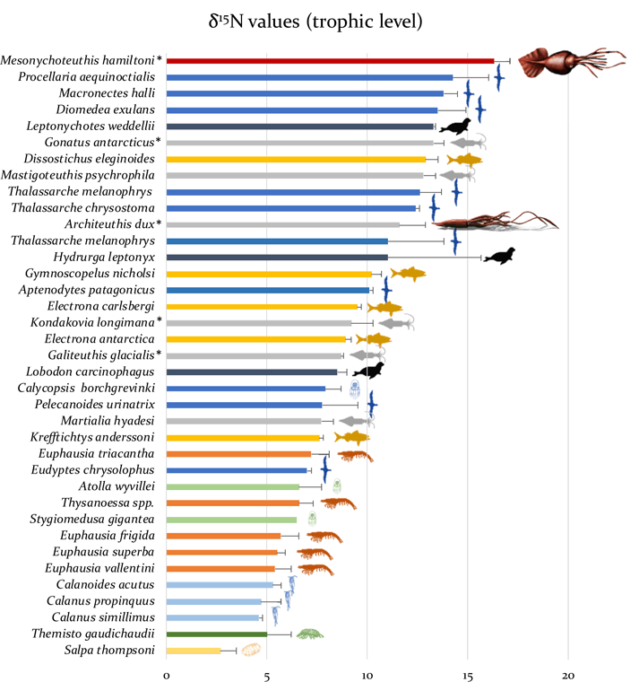 Biology and ecology of the world’s largest invertebrate, the colossal ...