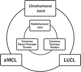 Traumatic instability of the elbow - anatomy, pathomechanisms and ...