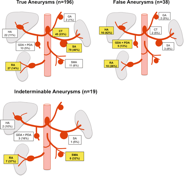 Visceral artery aneurysms: Incidence, management, and outcome analysis ...
