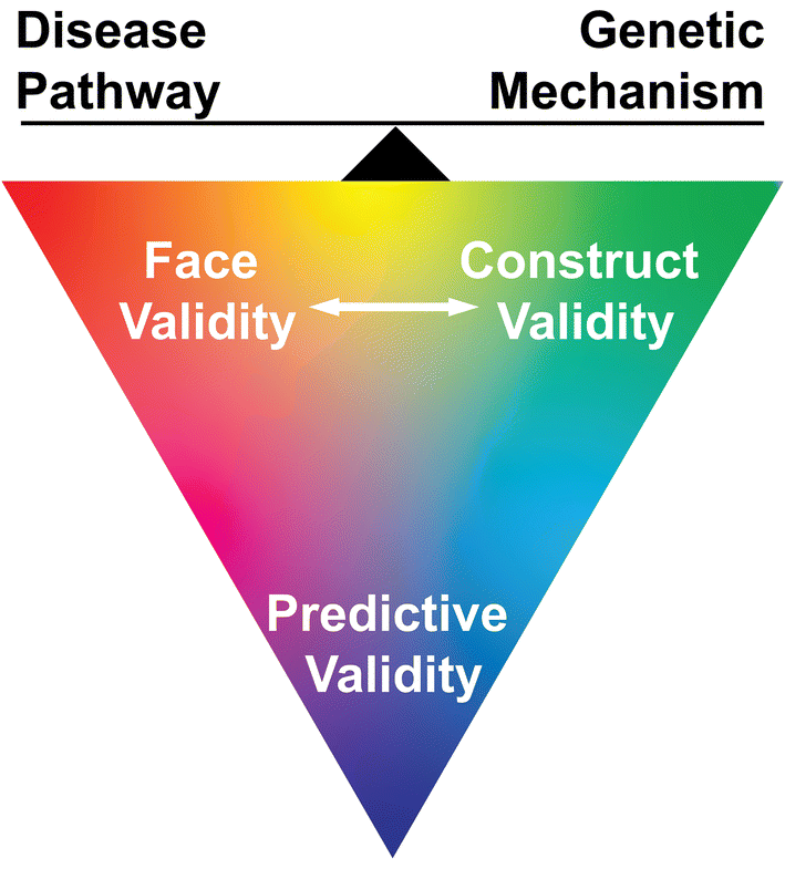 Model validity for preclinical studies in precision medicine: precisely ...