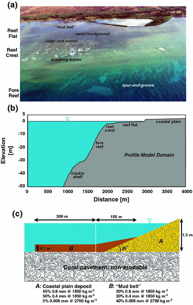 Numerical modeling of the impact of sea-level rise on fringing coral ...