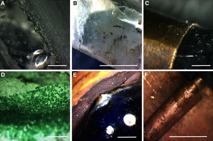 Influence of environment on the corrosion of glass–metal connections ...