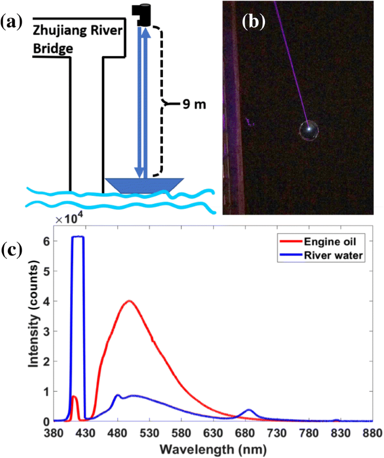 Aquatic environment monitoring using a drone-based fluorosensor ...