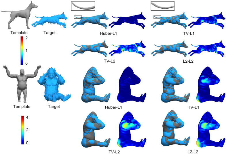 Huber-[equation]-based non-isometric surface registration | SpringerLink