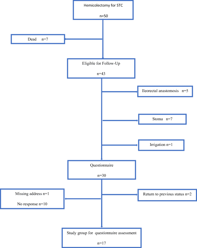 Long-term outcome after segmental colonic resection for slow transit ...