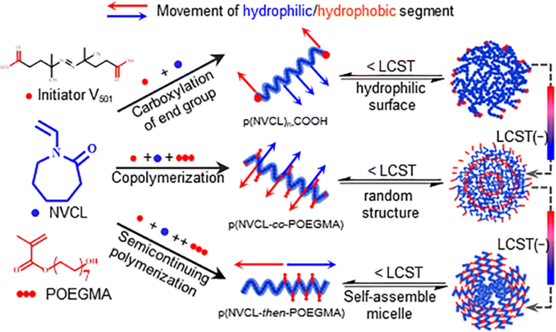 Thermal phase transition of poly(N-vinyl caprolactam)-based copolymers ...