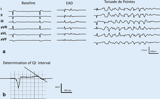 The ECG in cardiovascular-relevant animal models of electrophysiology ...