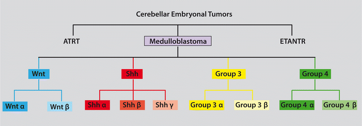 Molecular subgroups of medulloblastoma: the current consensus ...