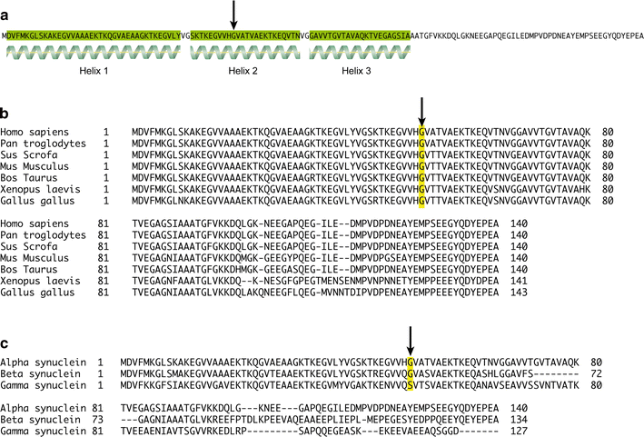 α-Synucleinopathy associated with G51D SNCA mutation: a link between ...
