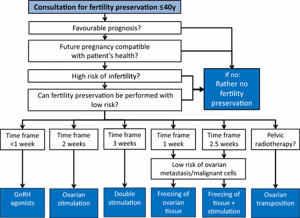 Practical recommendations for fertility preservation in women by the ...