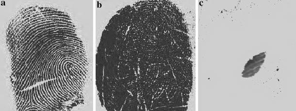 Electronic fingerprinting of the dead | SpringerLink