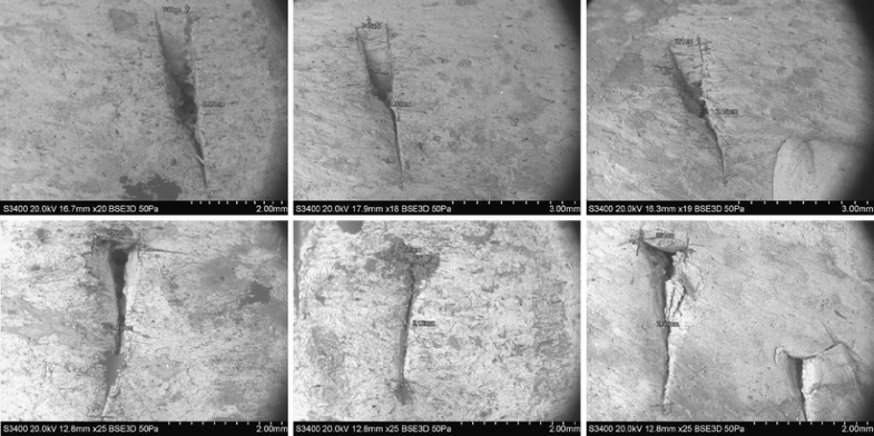 Differentiation of serrated and non-serrated blades from stab marks in ...
