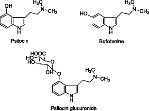 Determination of psilocin, bufotenine, LSD and its metabolites in serum ...