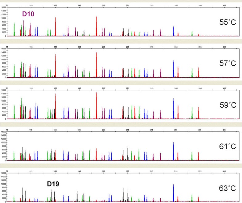 Developmental validation of GlobalFiler™ PCR amplification kit: a 6-dye ...