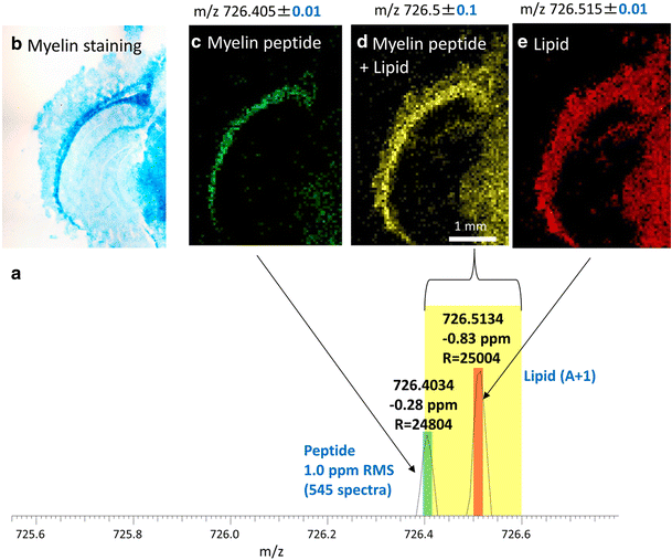 Mass spectrometry imaging with high resolution in mass and space ...