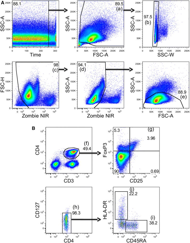 T-regulatory cells exhibit a biphasic response to prolonged endurance ...