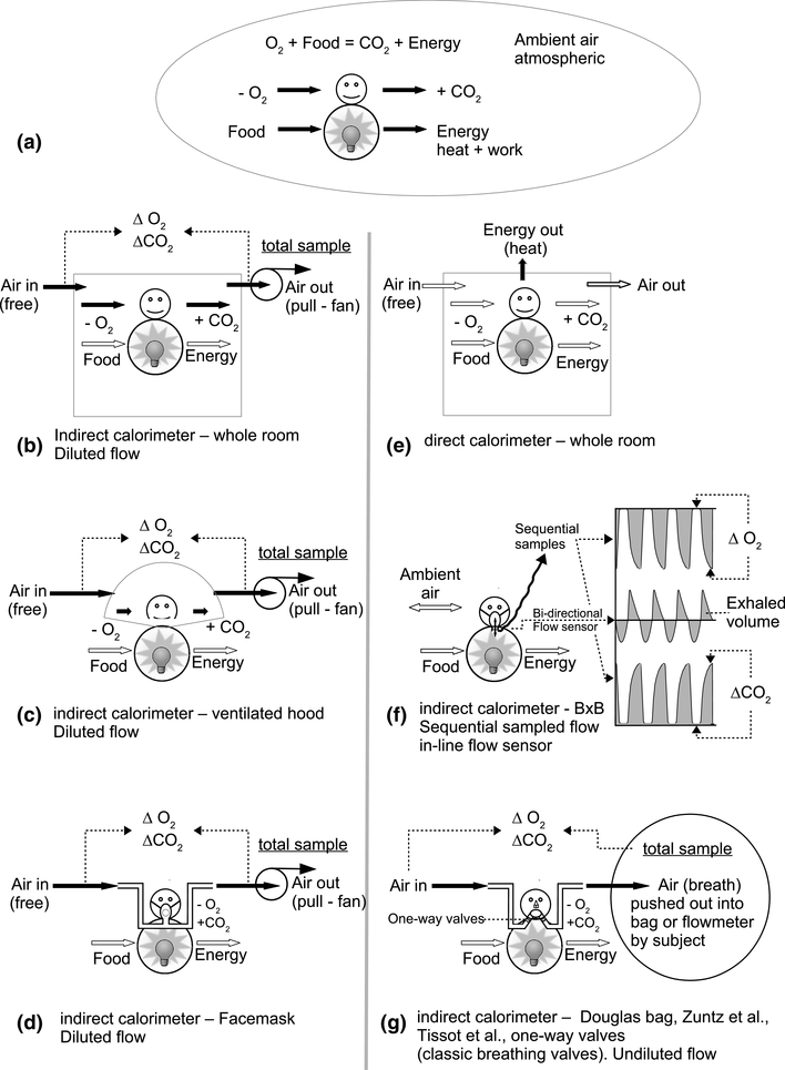 Classical experiments in whole-body metabolism: open-circuit ...