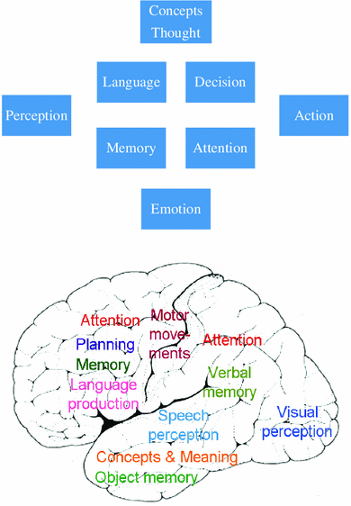 Thinking in circuits: toward neurobiological explanation in cognitive ...