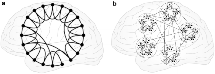 Is the brain really a small-world network? | SpringerLink