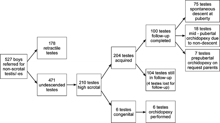 The high scrotal (“gliding”) testis revised | SpringerLink