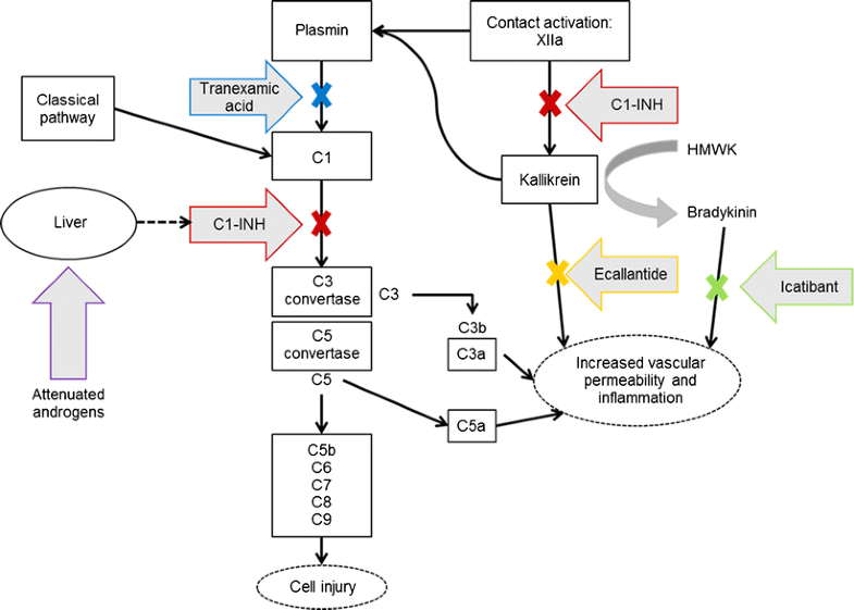 Hereditary angioedema (HAE) in children and adolescents—a consensus on ...