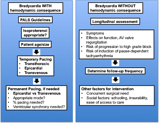 Evaluation and management of bradycardia in neonates and children ...
