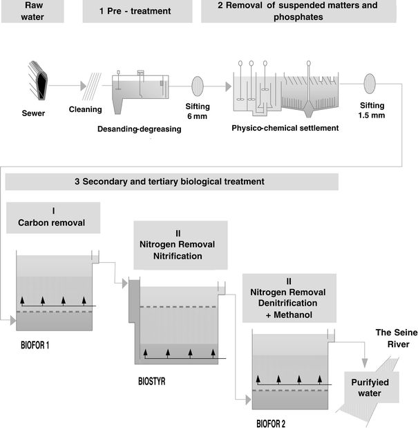 Nitrogen removal in a wastewater treatment plant through biofilters ...