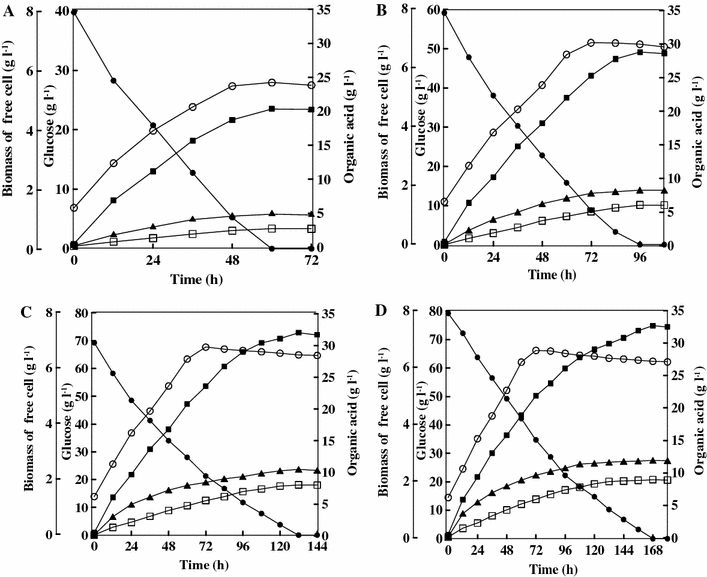 Propionic acid fermentation by Propionibacterium freudenreichii CCTCC ...