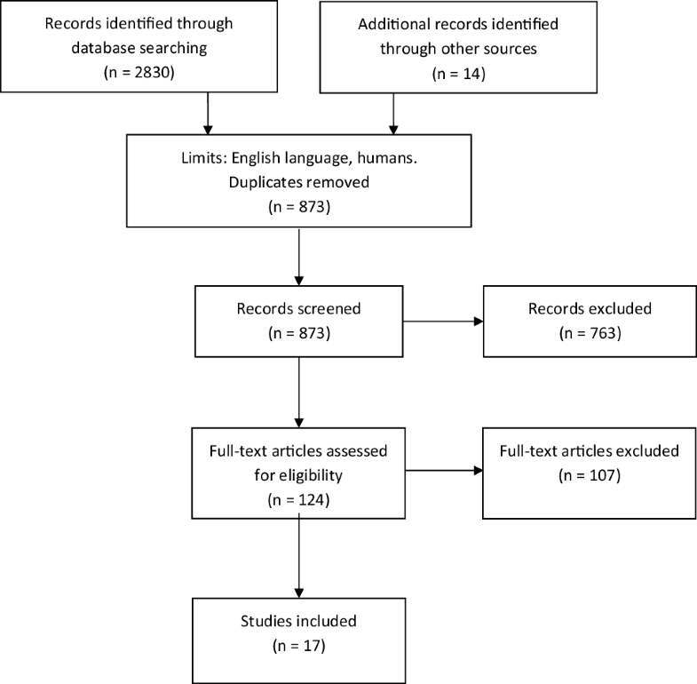 The use of surgical rating scales for the evaluation of surgical ...