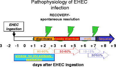 Treatment and outcome of Shiga-toxin-associated hemolytic uremic ...