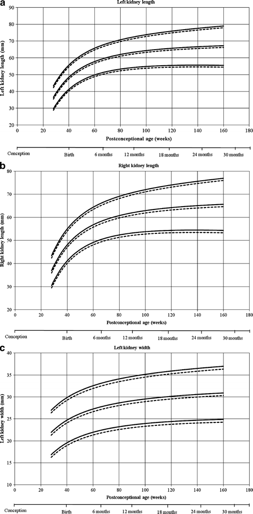 Kidney growth curves in healthy children from the third trimester of ...