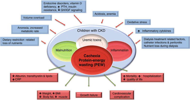 Cachexia and protein-energy wasting in children with chronic kidney ...