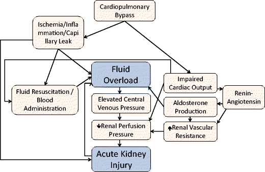 Acute kidney injury and fluid overload in infants and children after ...