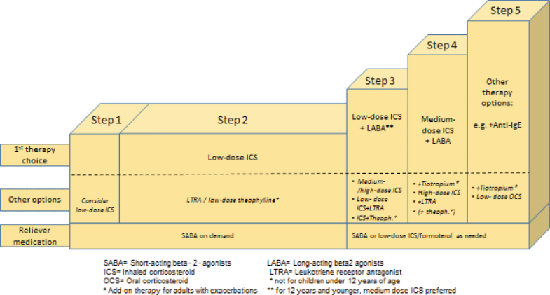 Diagnosis and management of asthma – Statement on the 2015 GINA ...
