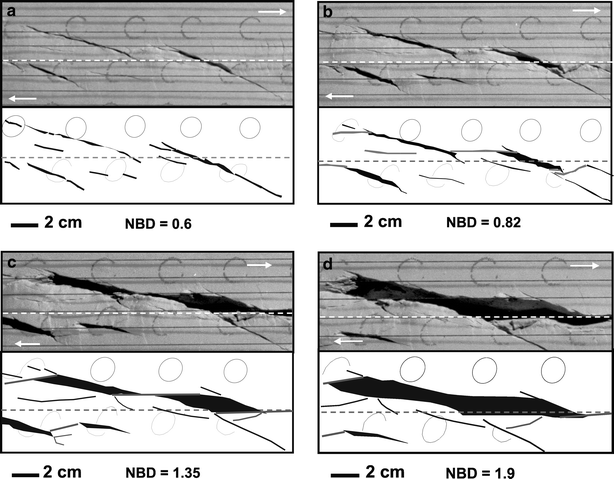 Initiation and development of pull-apart basins with Riedel shear ...