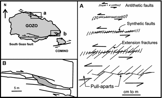 Initiation and development of pull-apart basins with Riedel shear ...
